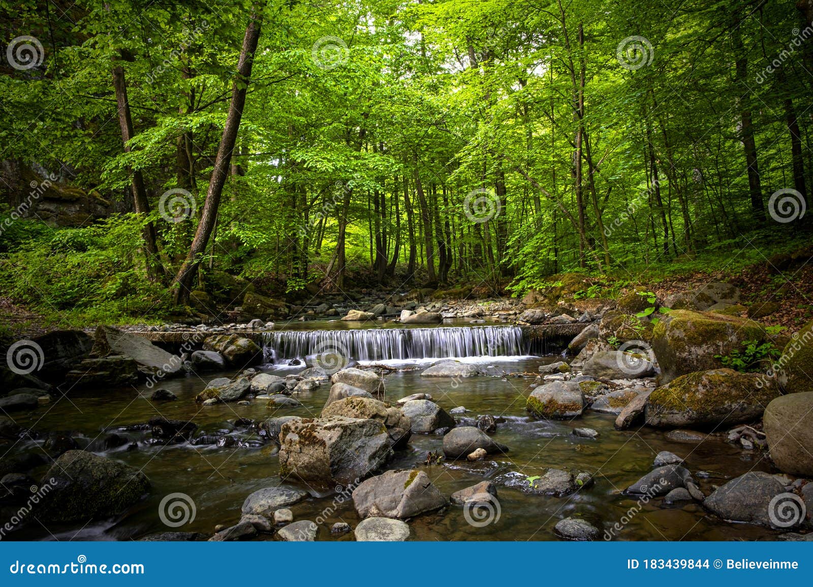 Creek in a Mountain Forest. Stock Photo - Image of beautiful, park ...
