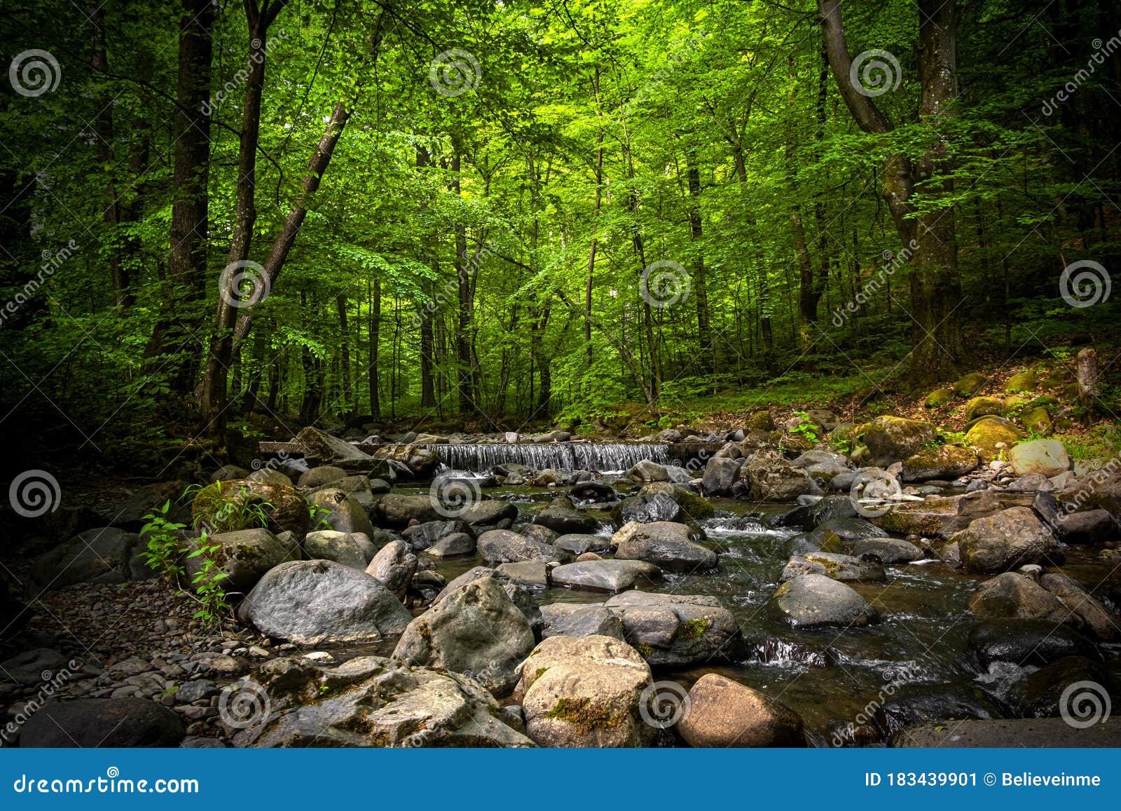 Creek in a Mountain Forest. Stock Image - Image of river, exposures ...