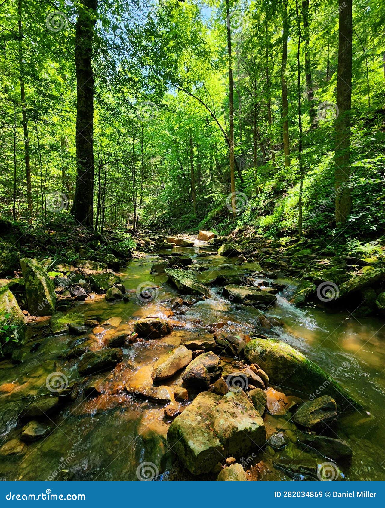 Design 2D Forest Game Background For Application Concept Forest, Nature ...