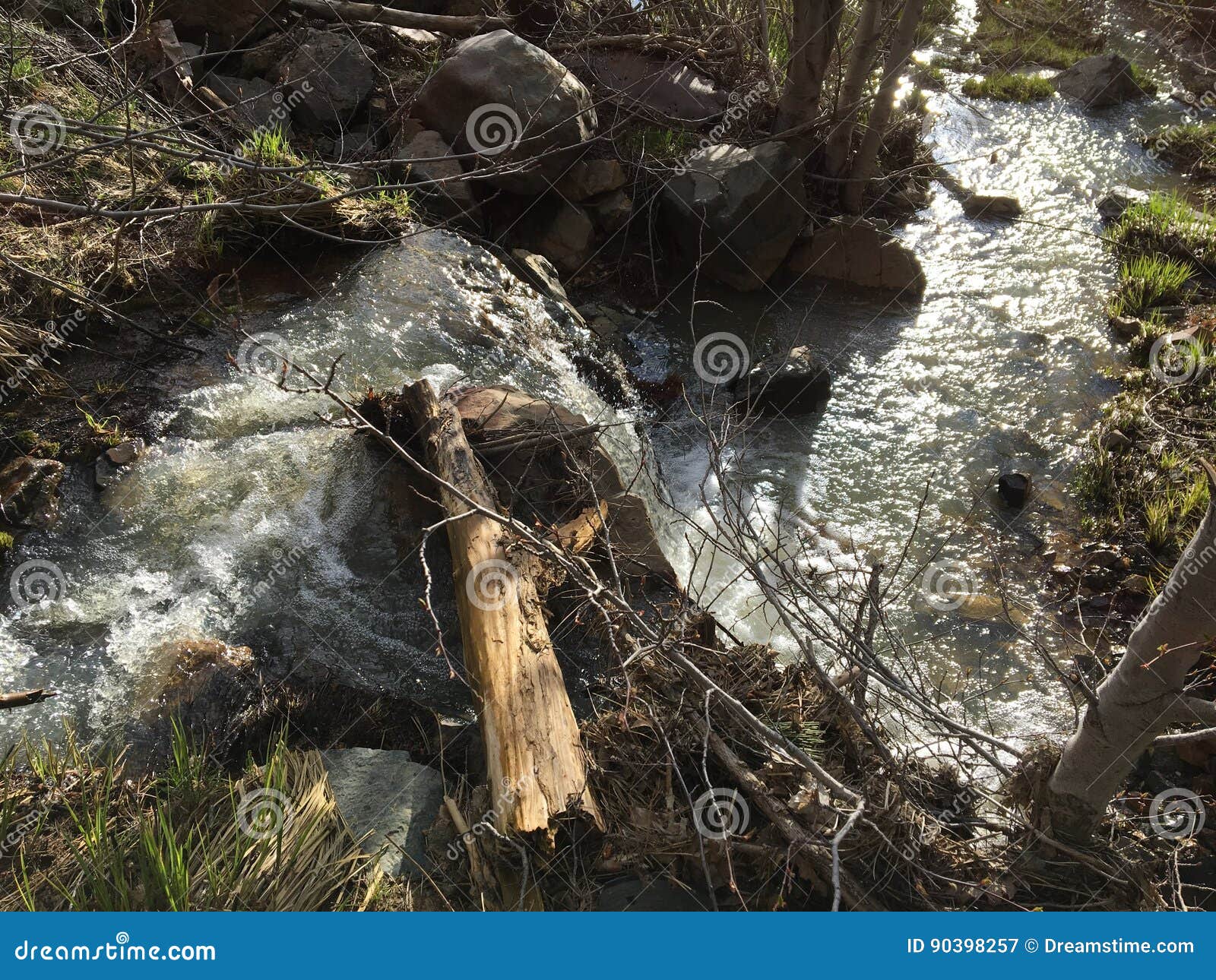 Creek stock image. Image of flowing, spring, nice, pretty - 90398257