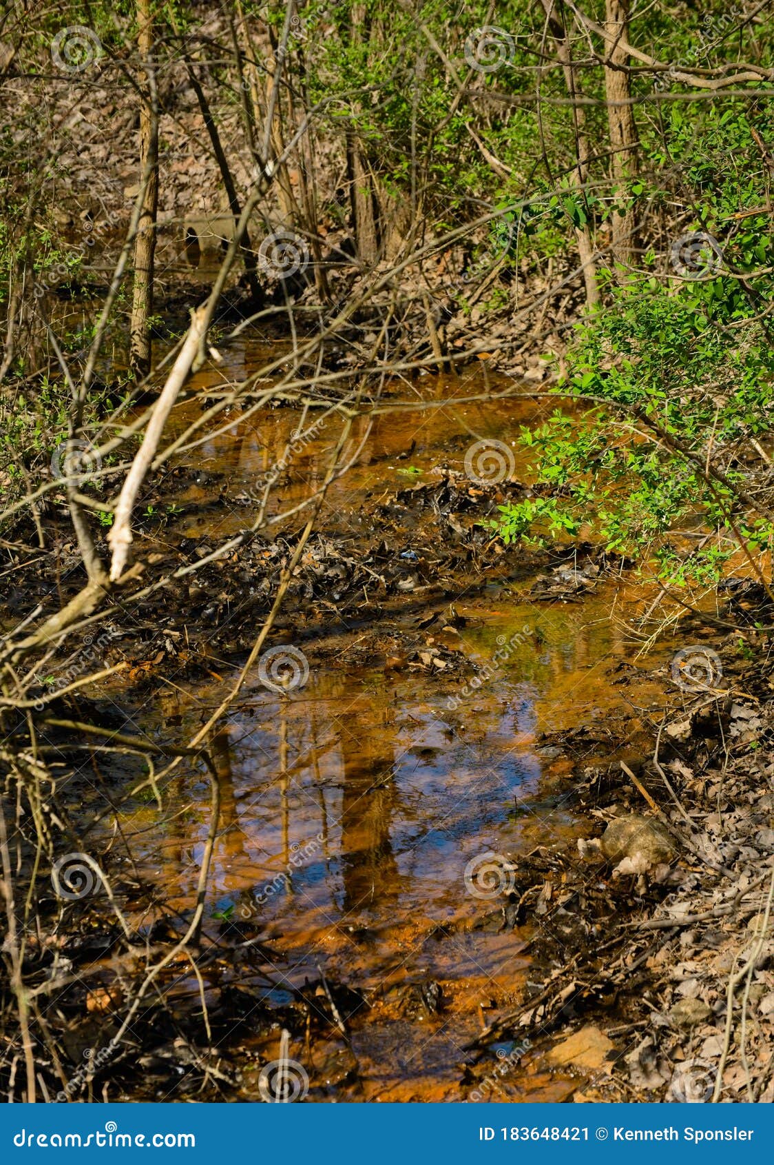 Creek Overflow in Early Spring Stock Image - Image of america, creek ...