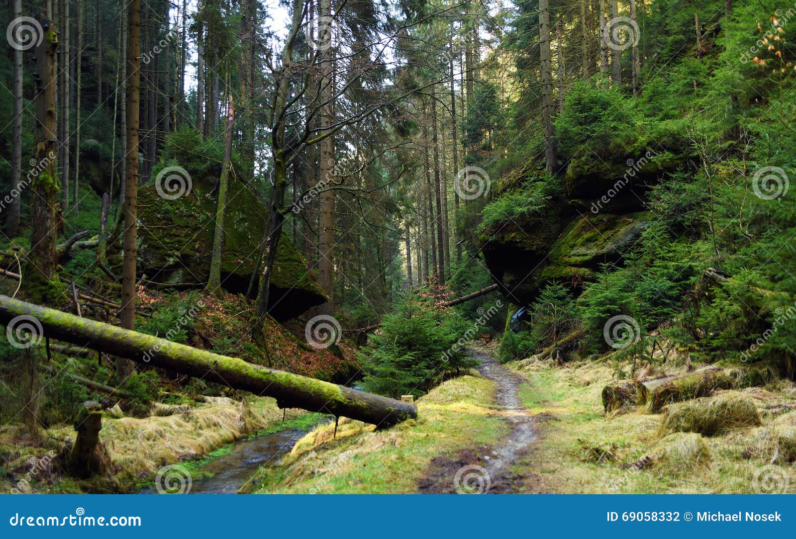 Creek and Path in National Park Stock Photo - Image of creek, flow ...