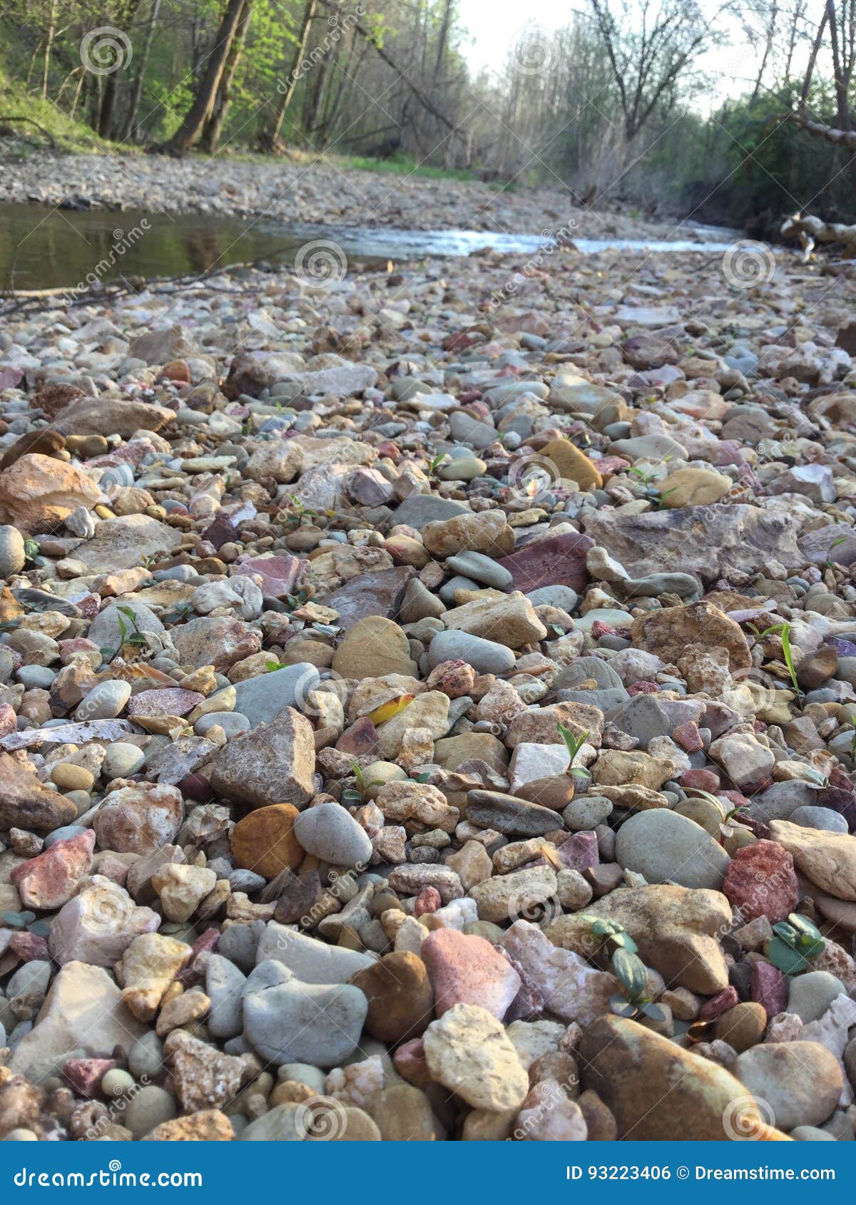 Creek stock photo. Image of favorite, creek, rocks - 93223406