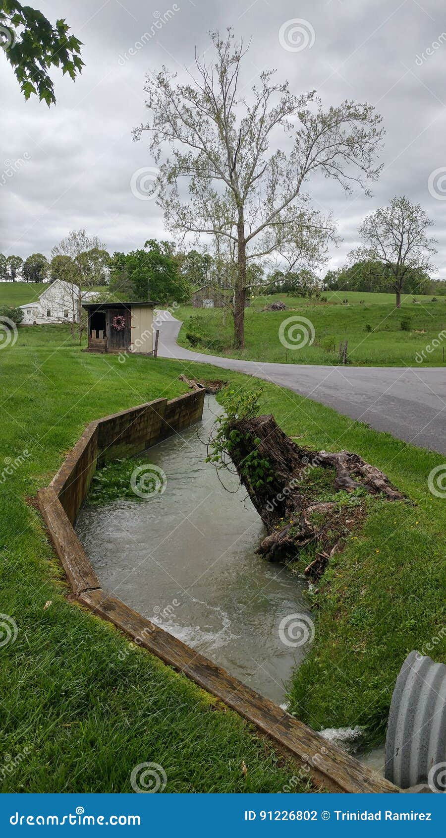 Creek stock photo. Image of creek, road, rain, tree, water - 91226802