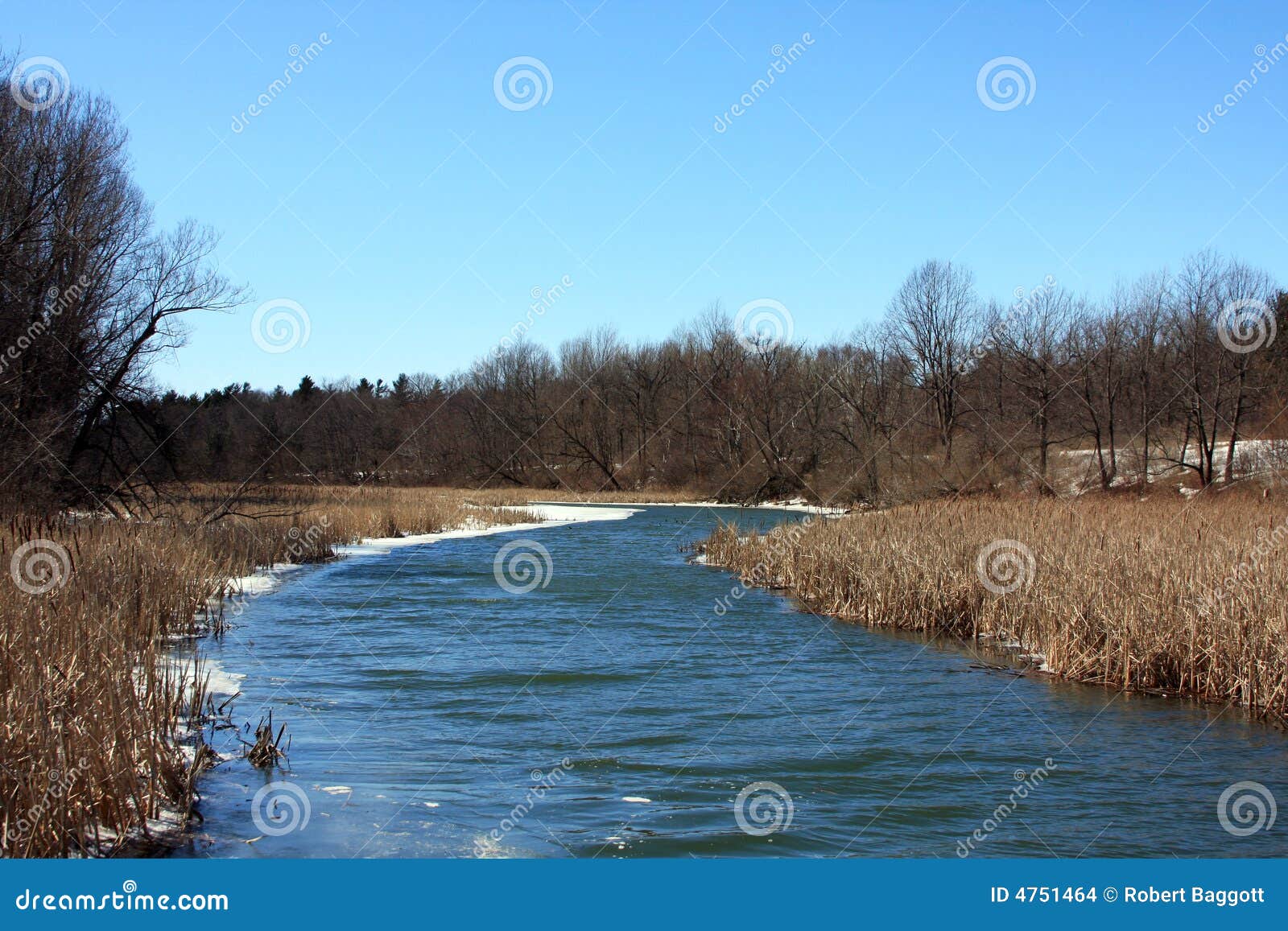 Creek and Reeds stock photo. Image of reed, blue, peace - 4751464