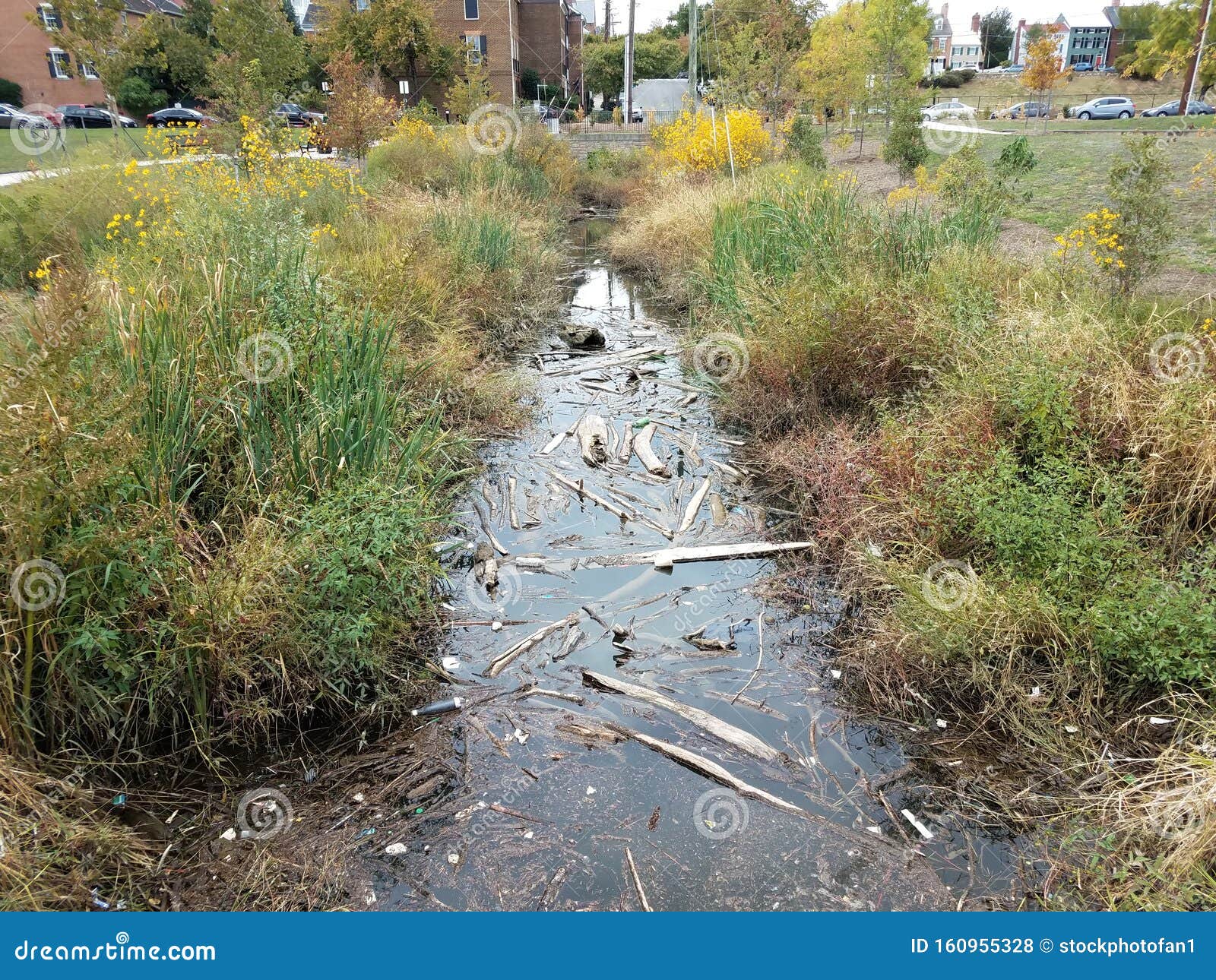 Creek or River with Wood Debris and Trash Stock Photo - Image of trash ...