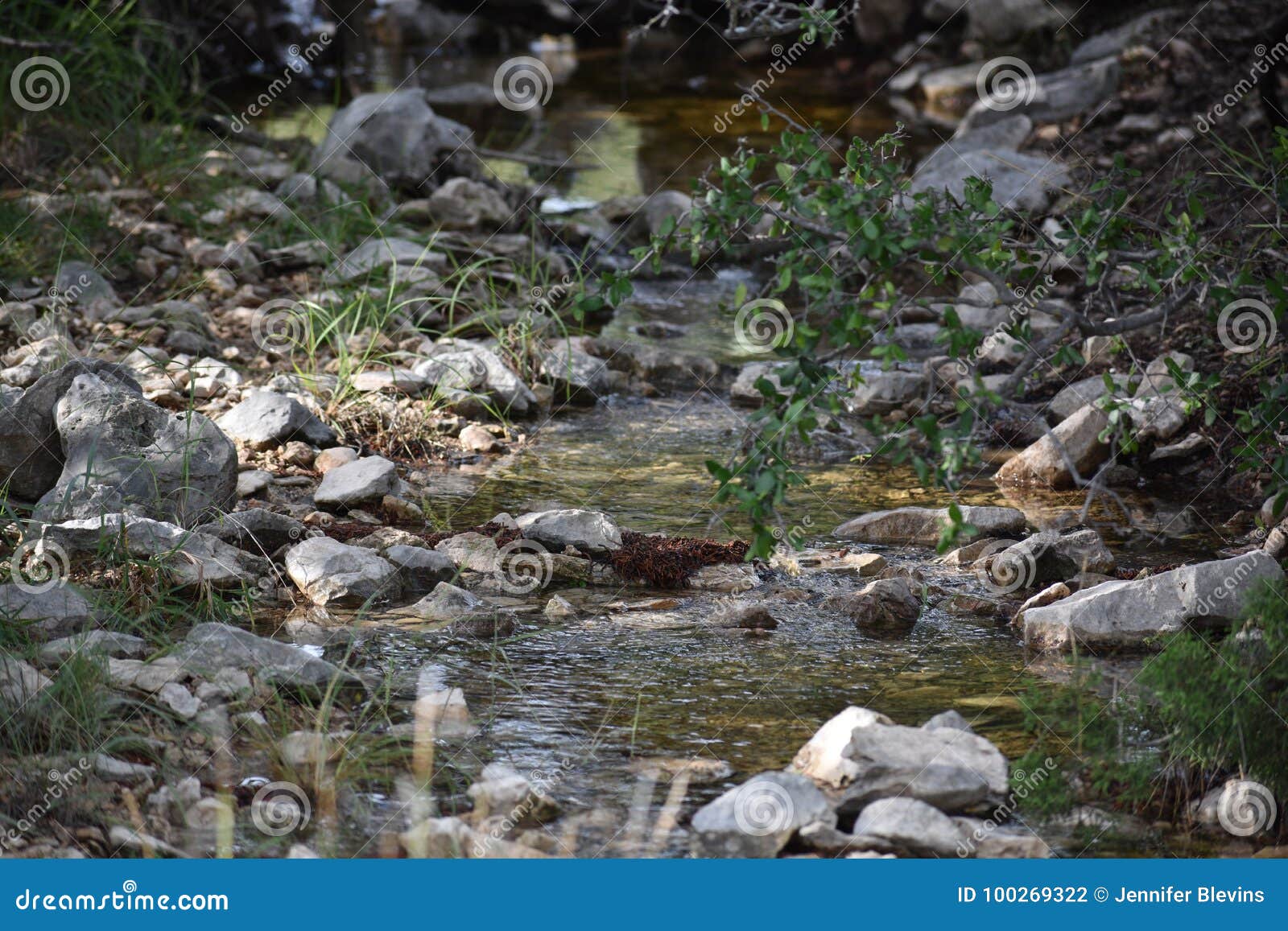 Creek with Rocks stock photo. Image of natural, stone - 100269322