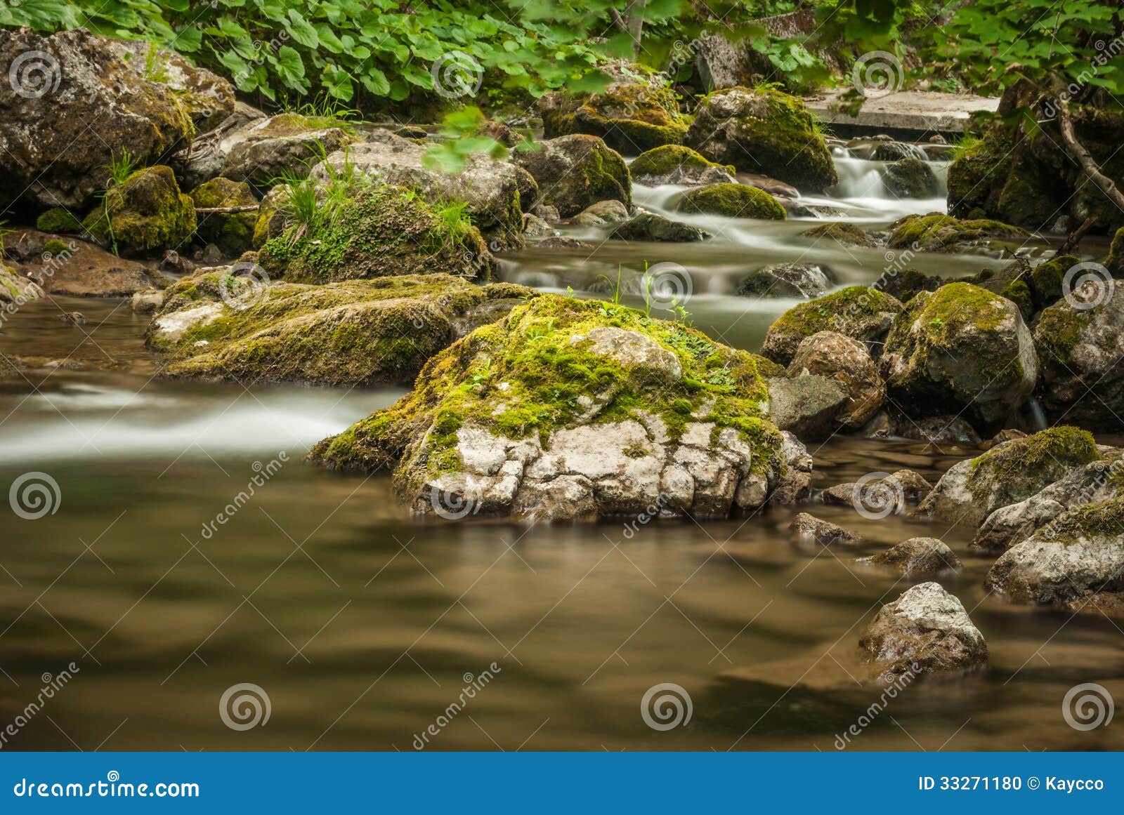 Creek, Rocks and Vegetation Stock Photo - Image of exposure, green ...