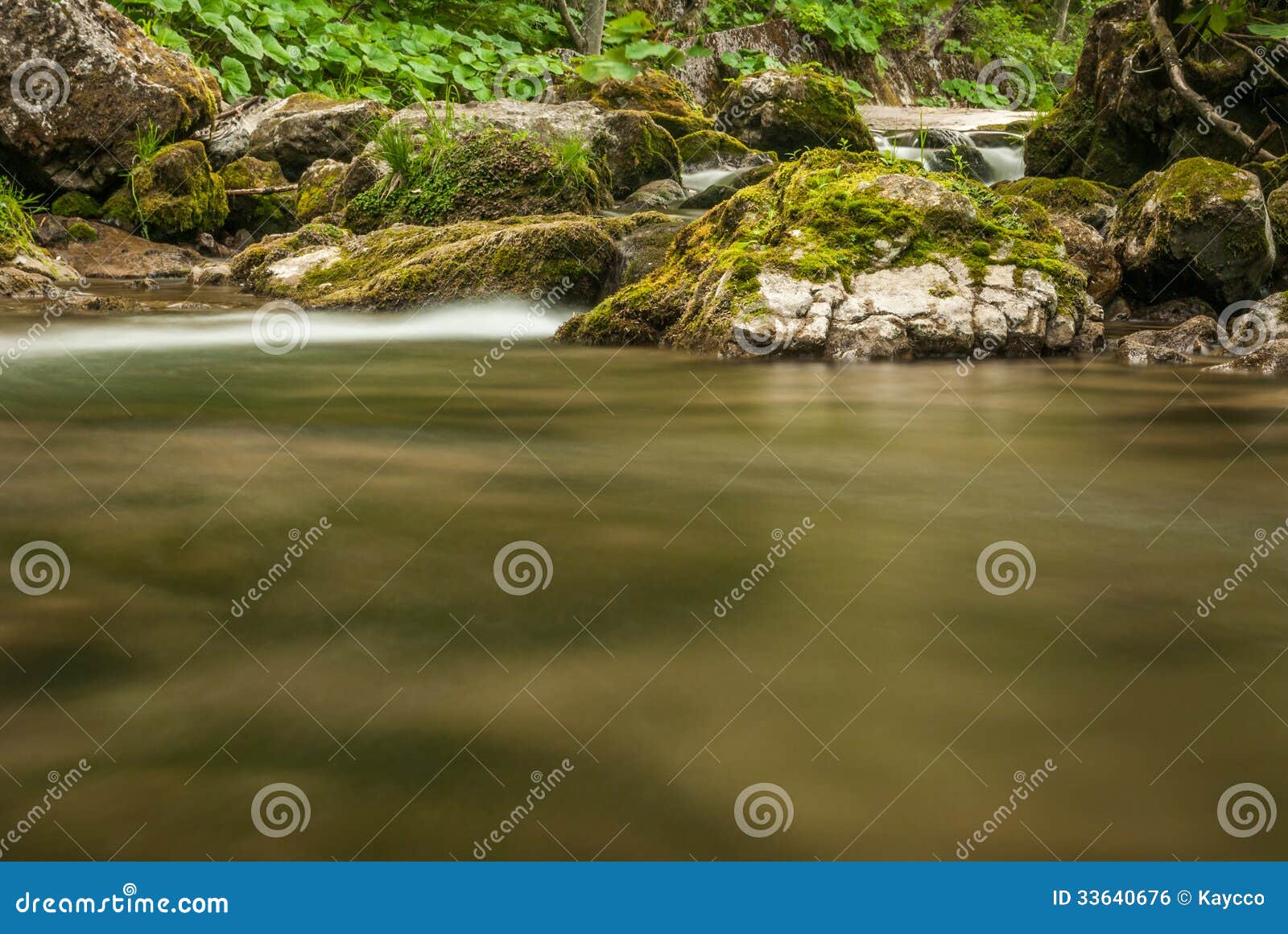 Creek, Rocks and Vegetation Stock Photo - Image of foliage, long: 33640676
