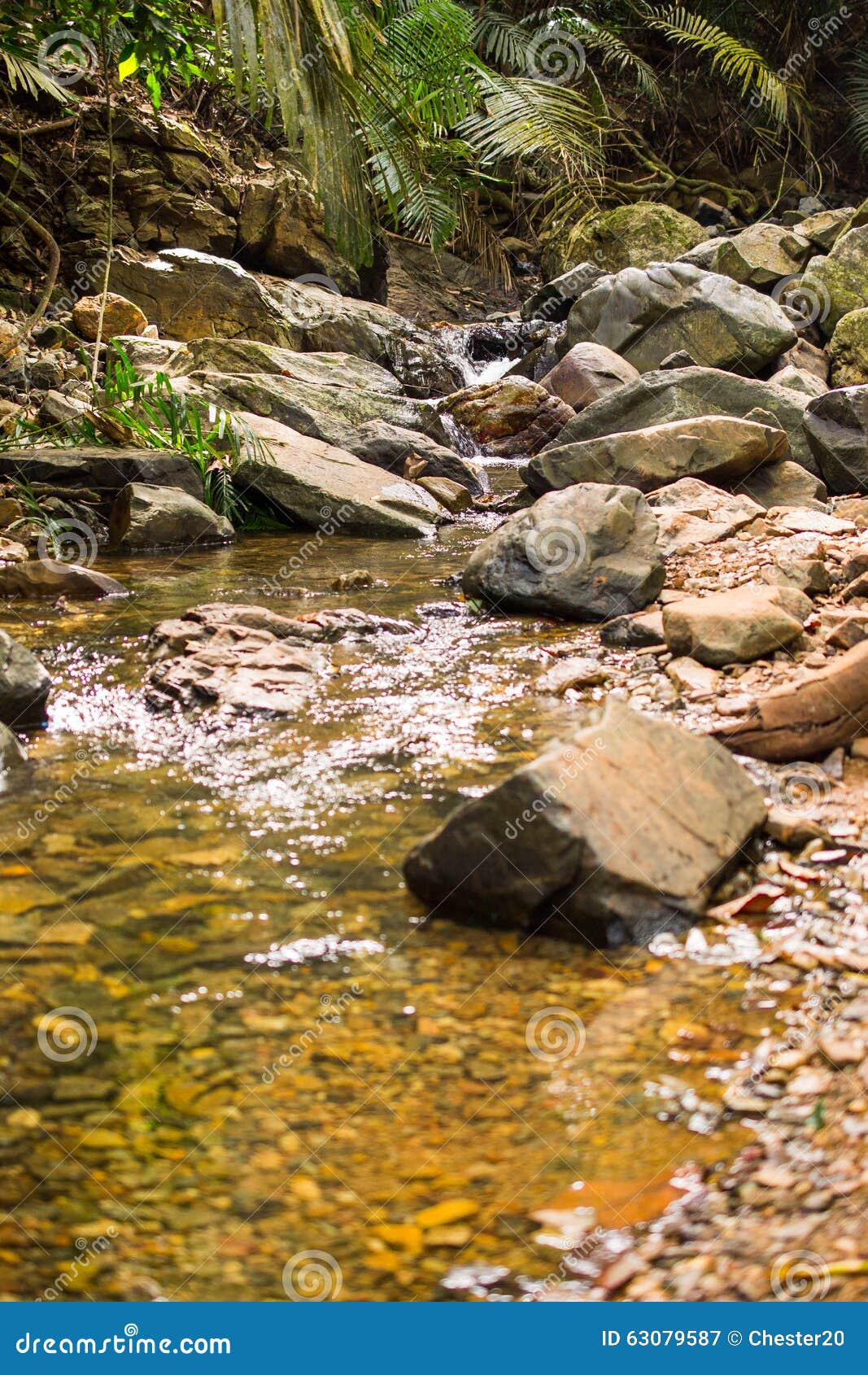 Creek stock image. Image of stream, outdoor, tree, boulder - 63079587