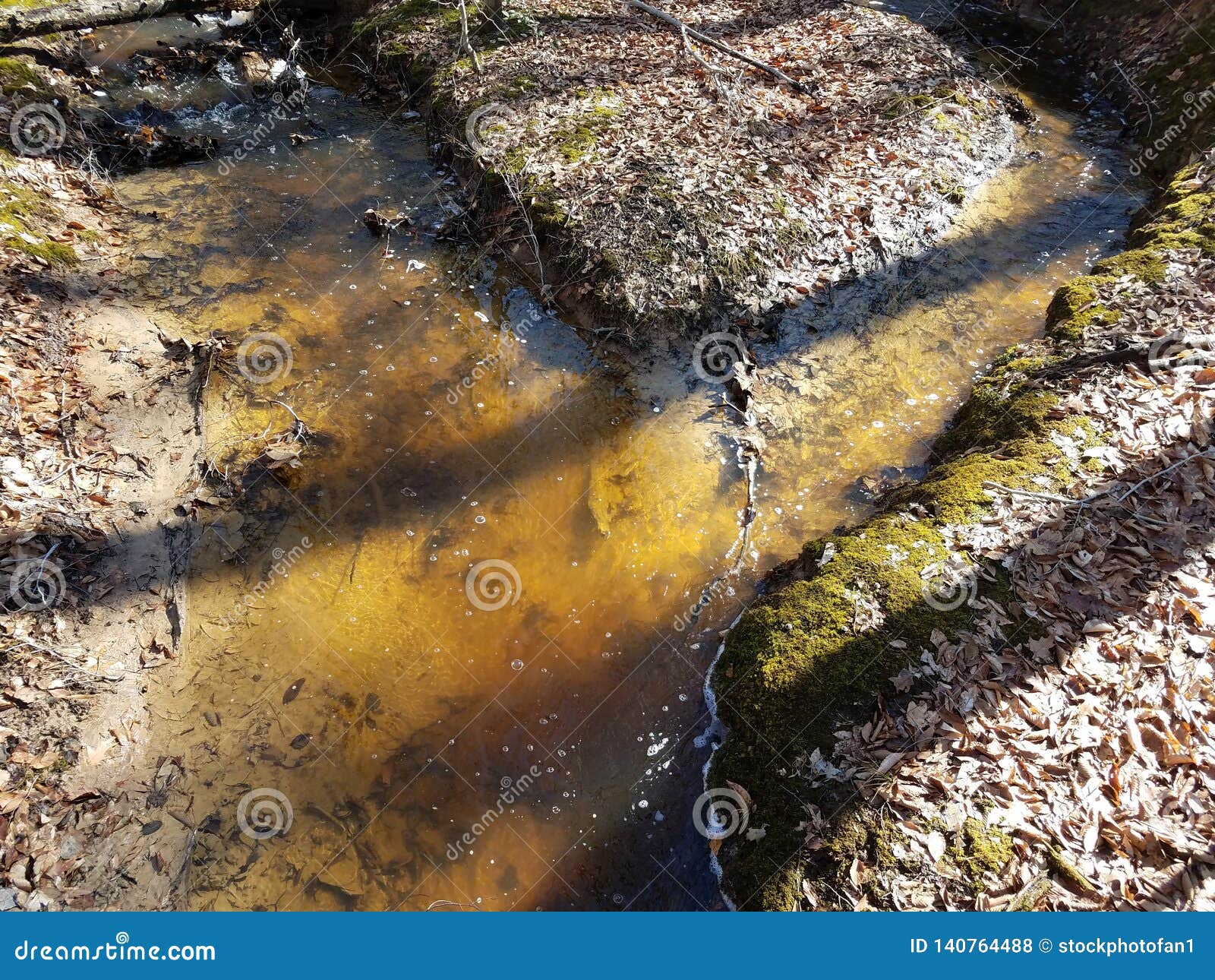 Creek Split in Two with Mud and Moss Stock Photo - Image of outdoor ...