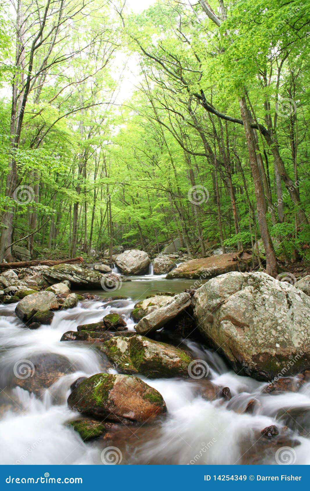 Creek during Spring stock image. Image of outdoor, rock - 14254349