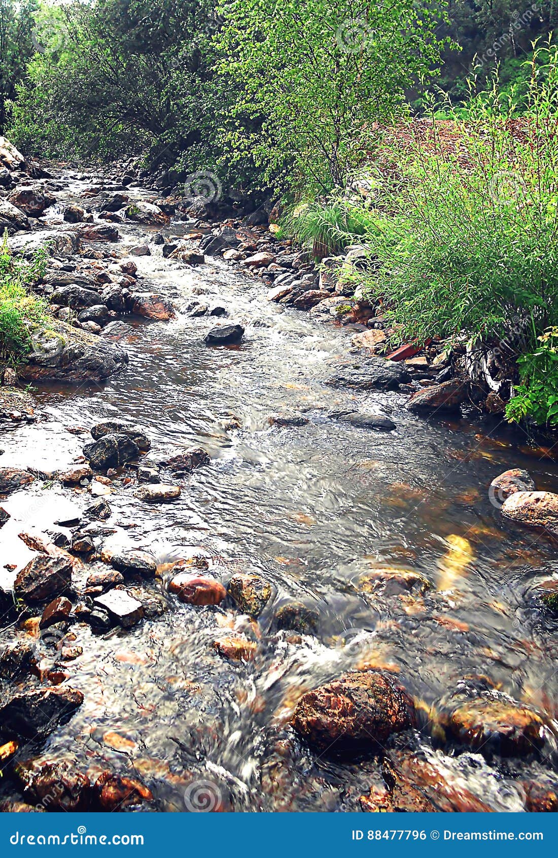 Creek among Stones Water in Summer Stock Photo - Image of rock, stones ...