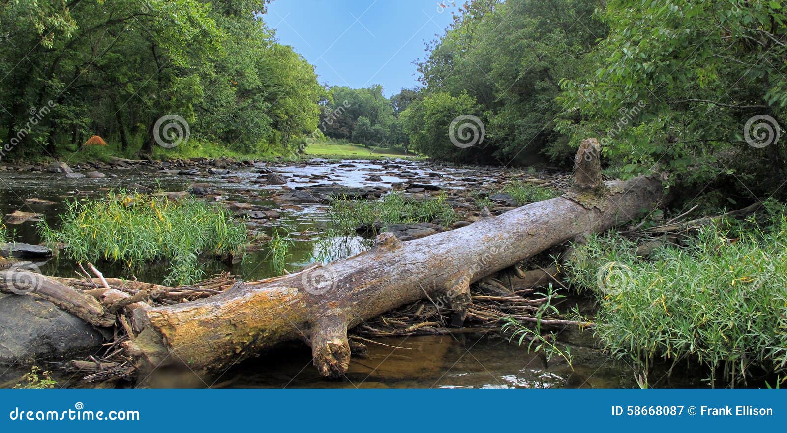 Creek stock image. Image of falling, stream, creek - 58668087