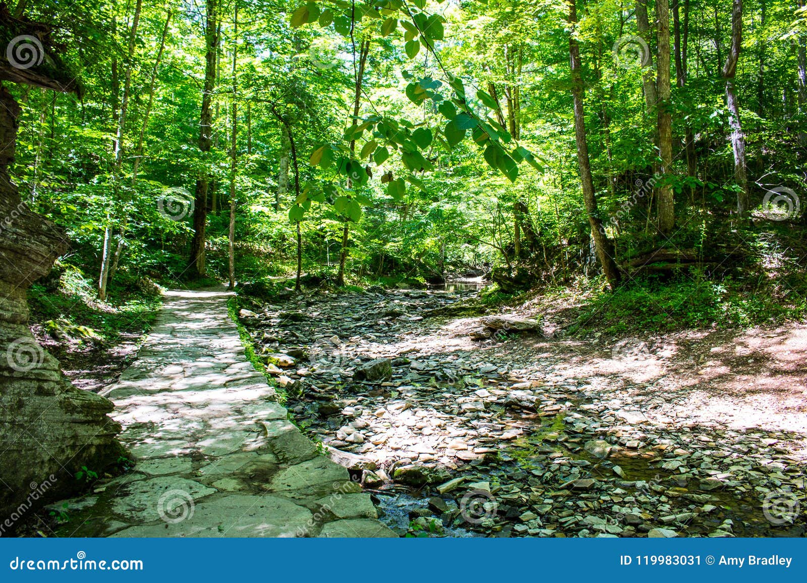 Wide Rocky Creek with Path stock image. Image of outdoors - 119983031