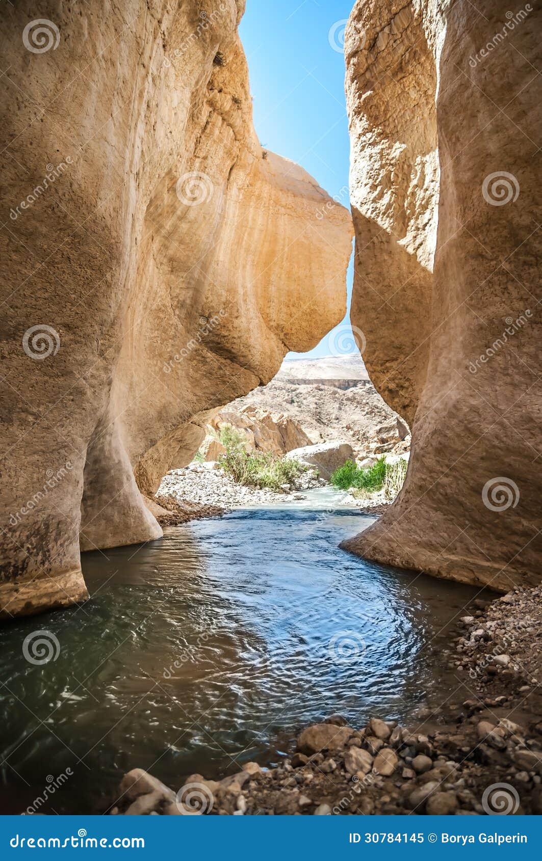 The Creek in Valley Wadi Hasa in Jordan Stock Image - Image of barren ...
