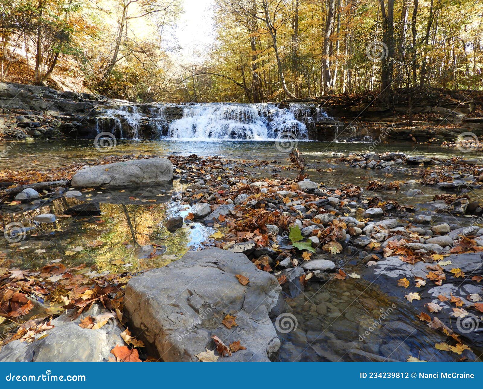 Creek View of Great Gully Lower Falls Stock Photo - Image of climb ...
