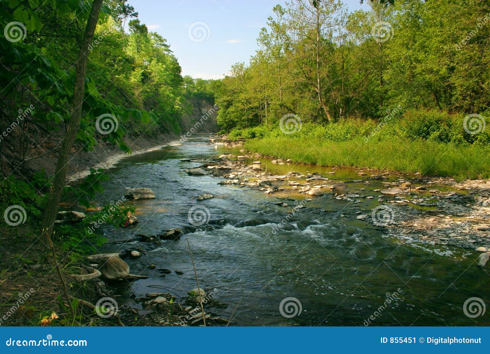 Creek View stock image. Image of clouds, shore, bushes - 855451