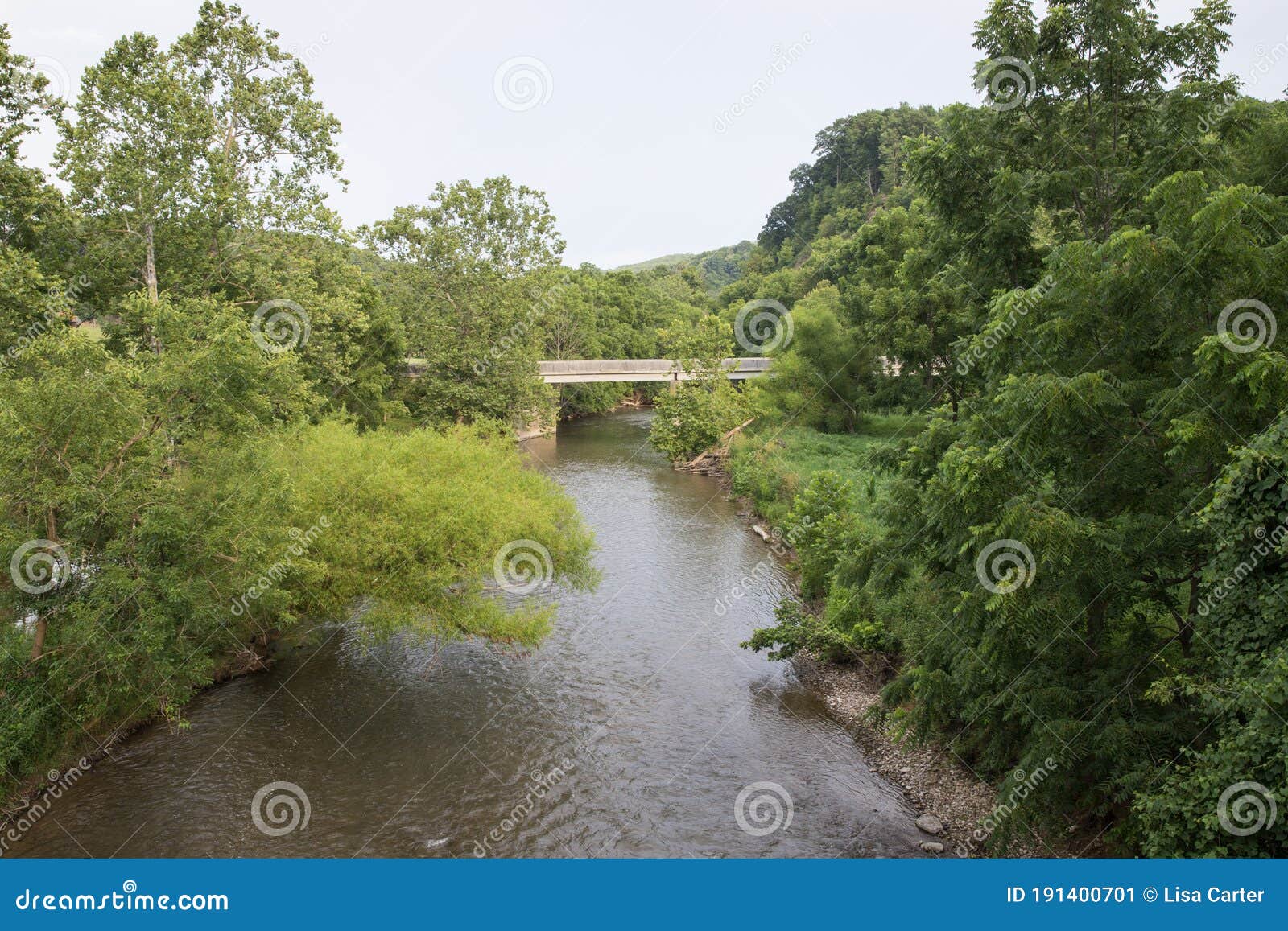 Creek View from Overhead with Trees. Stock Image - Image of ...