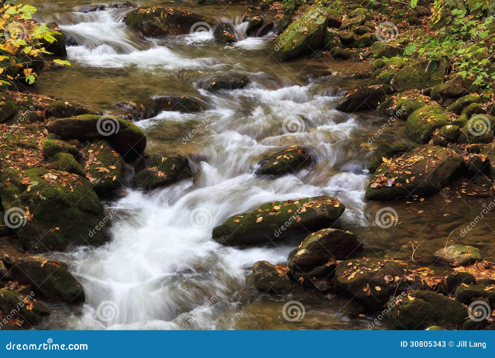 Creek Water stock image. Image of tranquility, rapids - 30805343