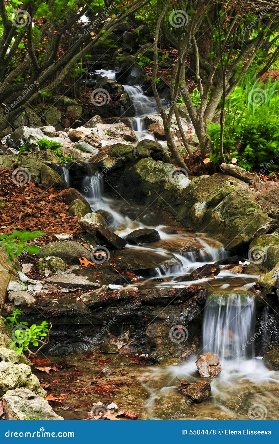 Creek with waterfalls stock photo. Image of gardening - 5504478