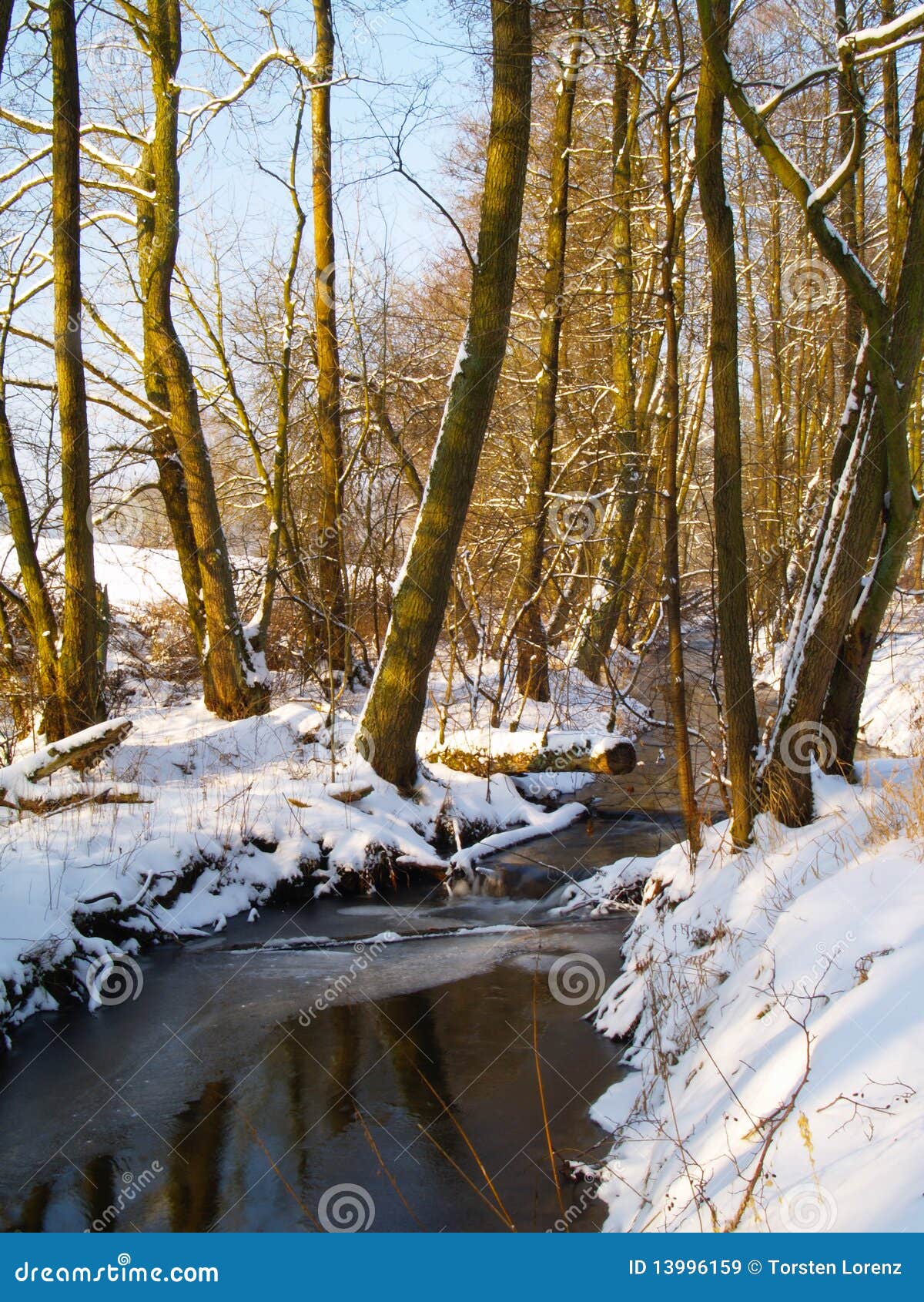 Creek in winter stock image. Image of rivulet, blue, natural - 13996159