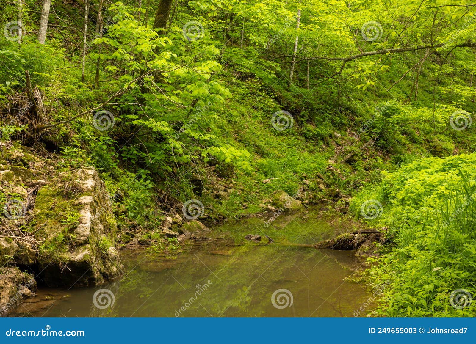 A Creek in the Woods during Spring Stock Image - Image of rapids ...