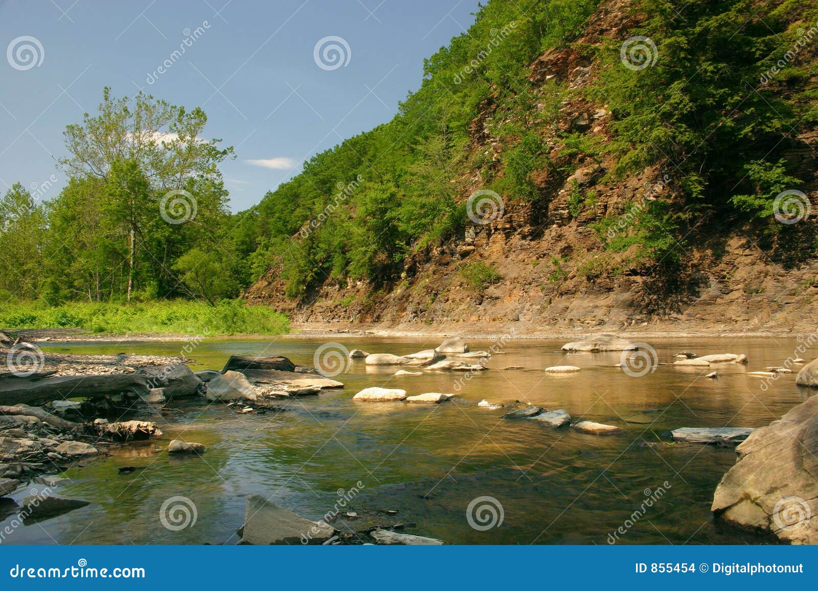 Creekbed stock photo. Image of stone, landscape, nature - 855454