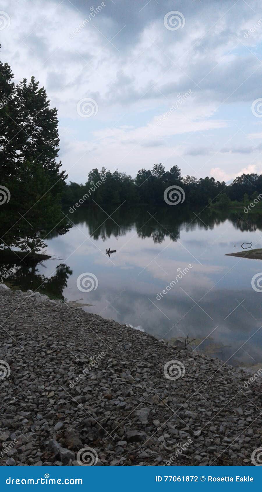 Creeks stock photo. Image of creekside, outdoor, creeks - 77061872