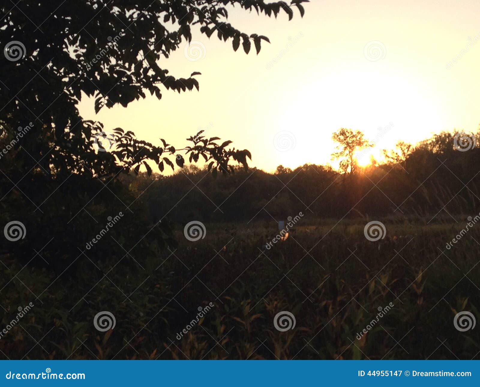 Creep up on sunrise stock image. Image of early, creepin - 44955147