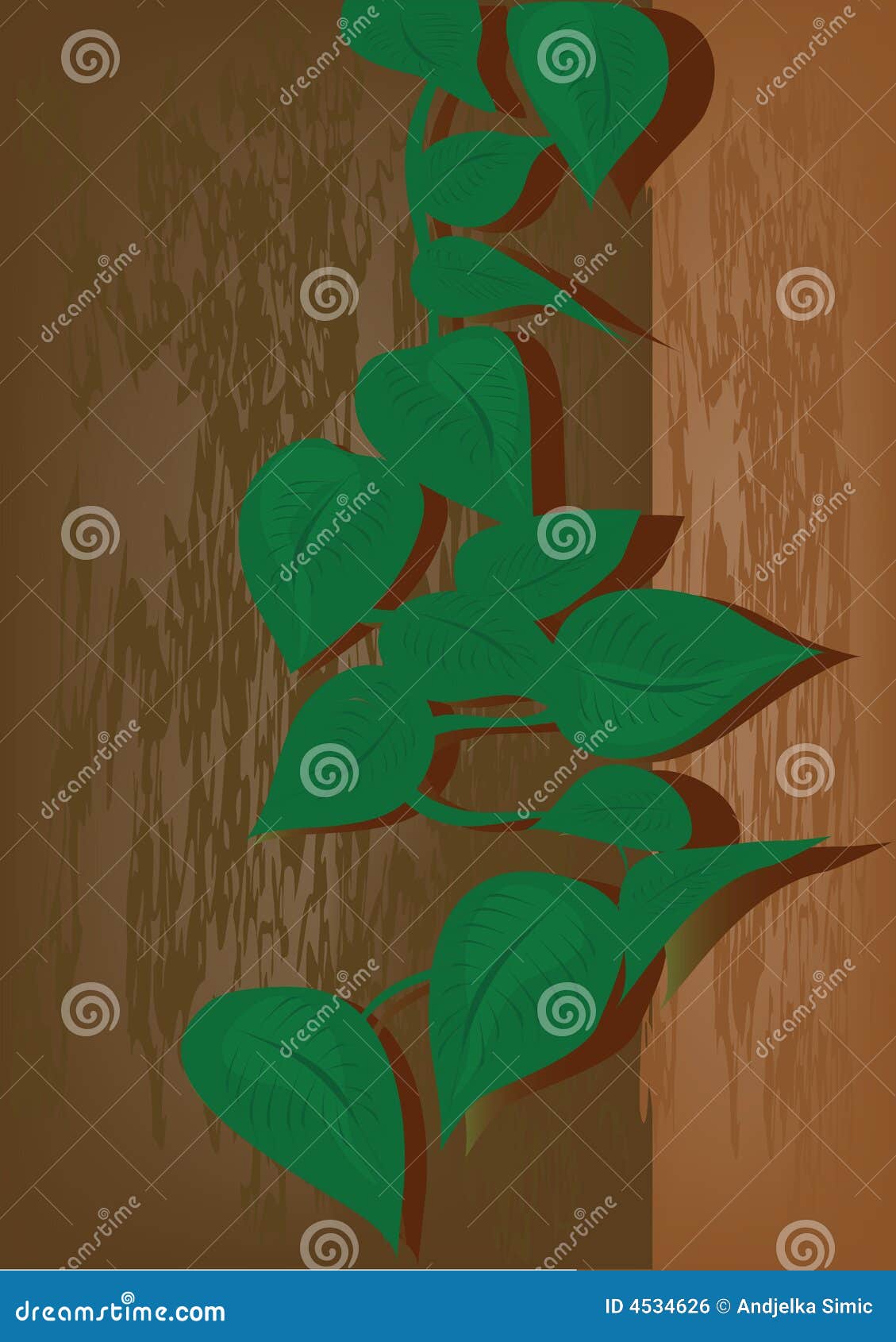 Creeper stock vector. Illustration of flora, landscaped - 4534626