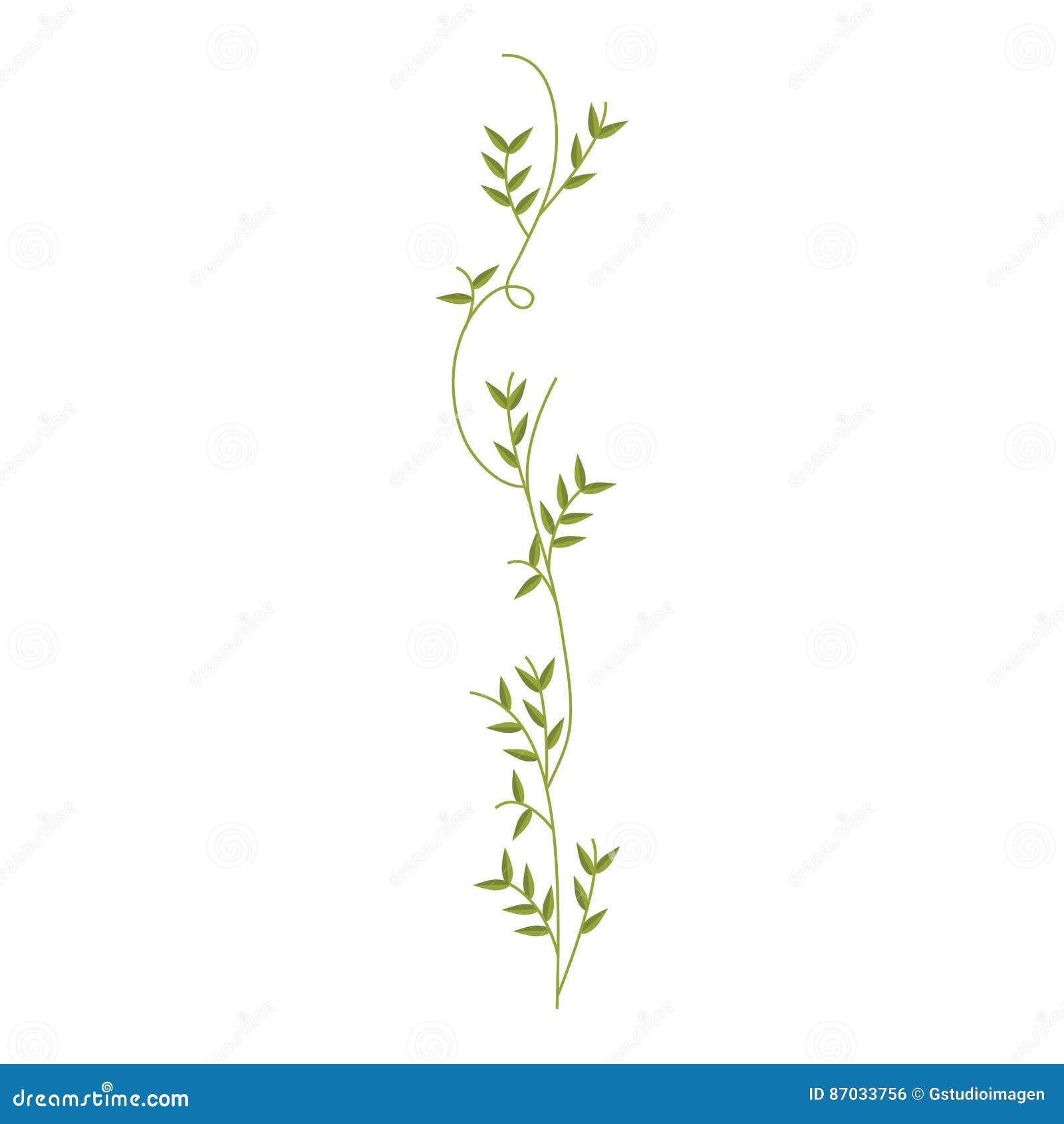 Creeper with Leaves Nature Design Stock Vector - Illustration of leaves ...