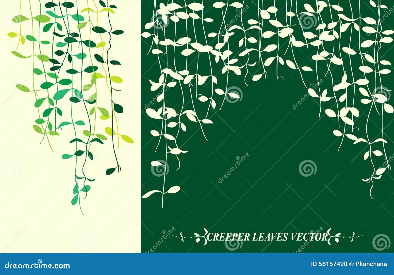 Creeper With Leaves Nature Design Vector Illustration | CartoonDealer ...