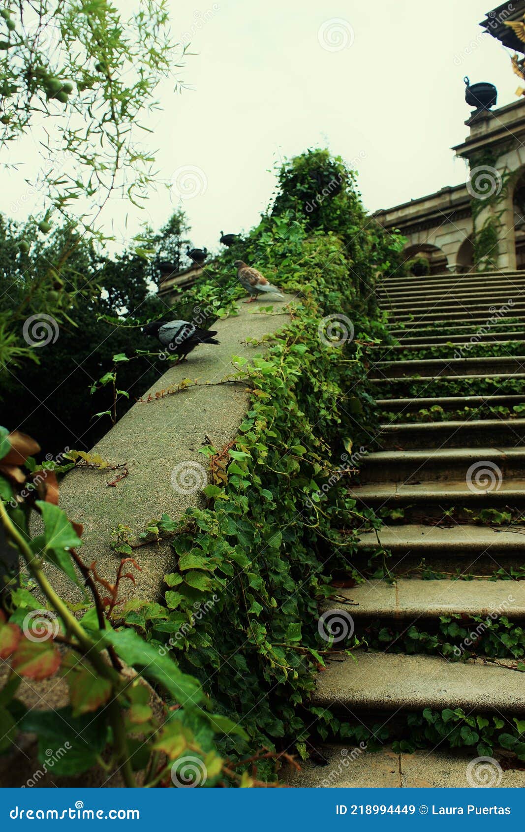 Creeper on the Railing of an Old Stone Staircase Stock Image - Image of ...