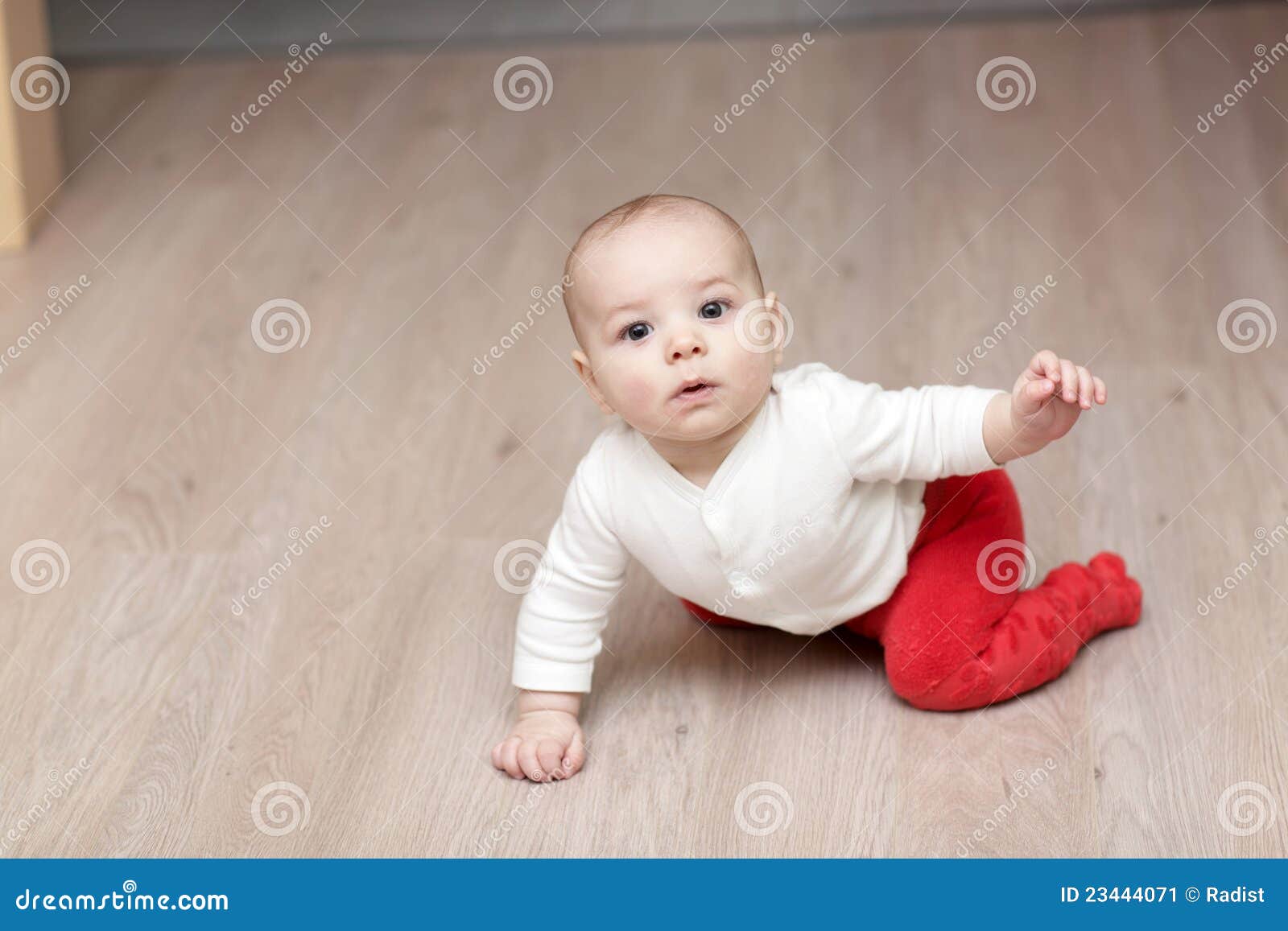 Creeping baby boy stock image. Image of relaxed, room - 23444071