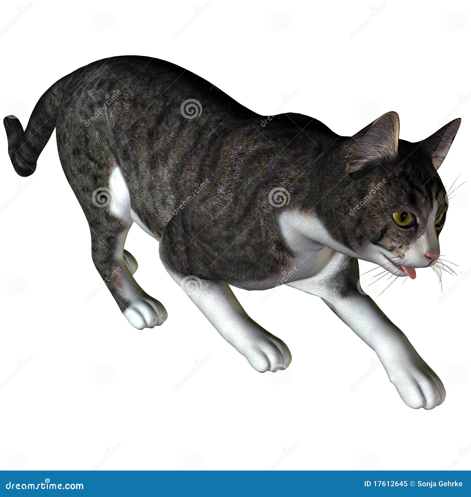 Creeping cat stock illustration. Illustration of hauskatze - 17612645