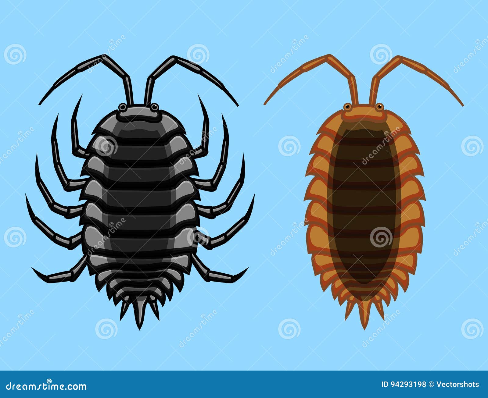 Aphid Animal Vector Illustration Hand Drawn Cartoon Art | CartoonDealer ...