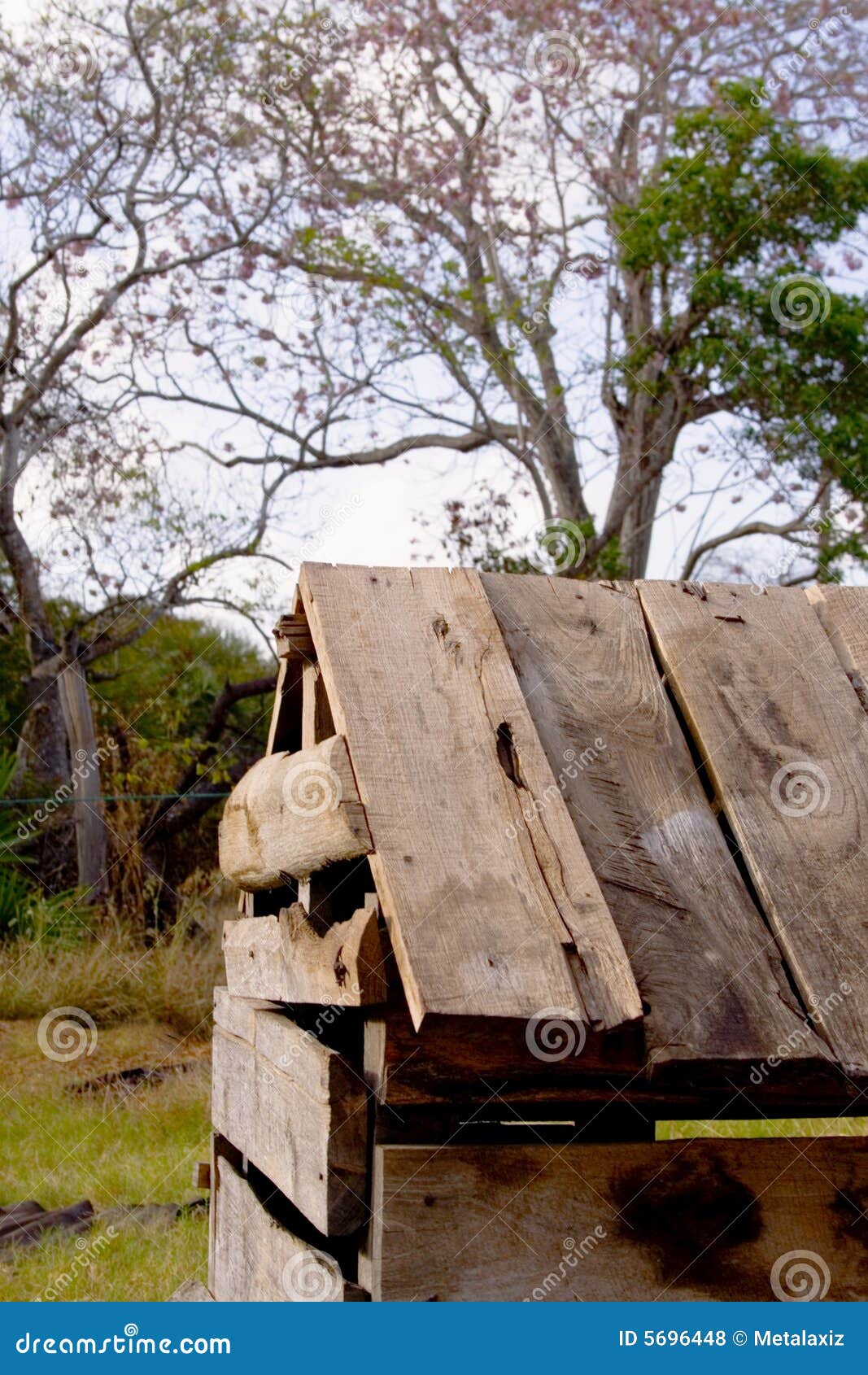 Creepy Cage Made for a Fearce Animal Stock Photo - Image of killer ...