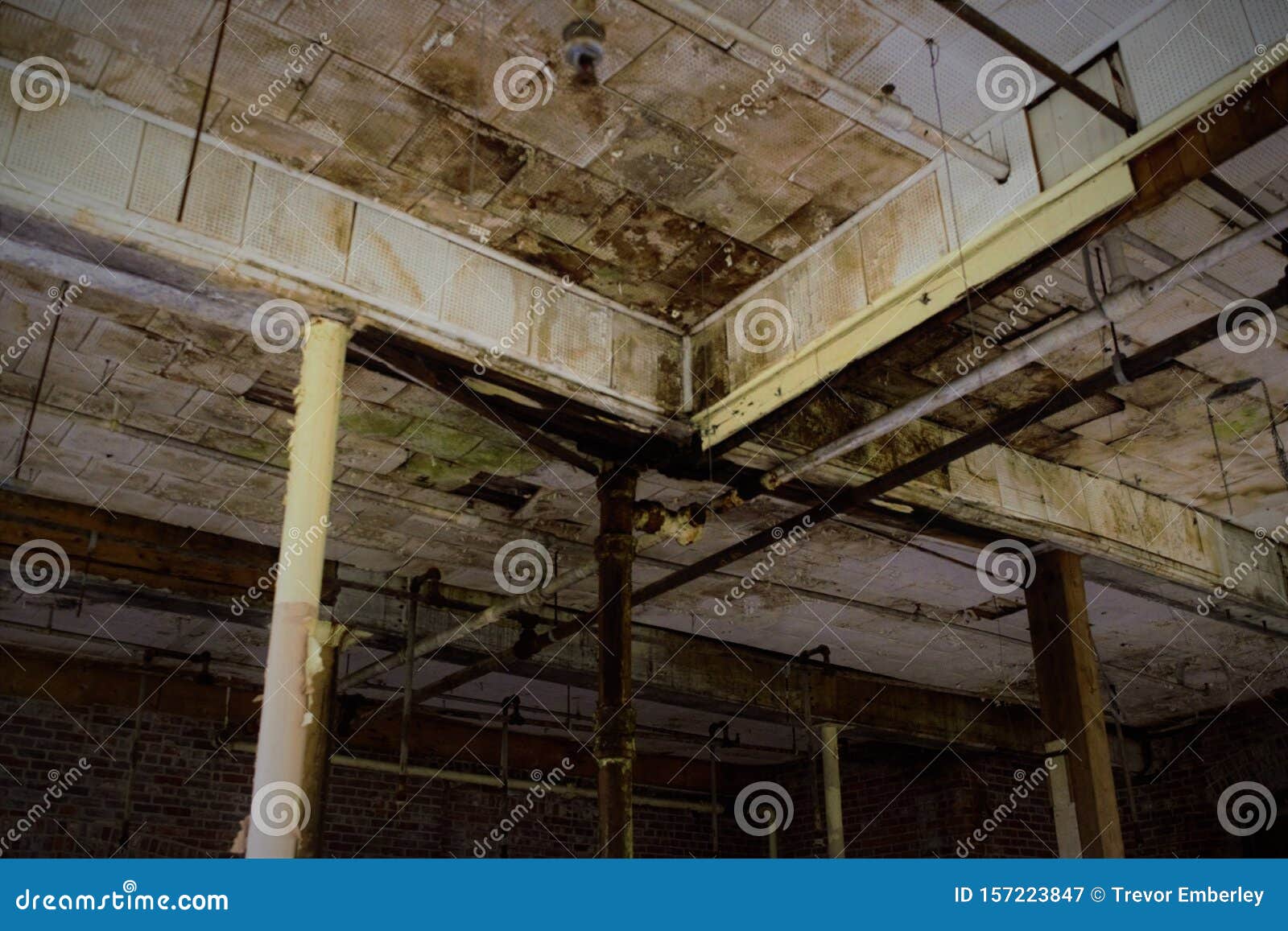 Creepy Ceiling with Mold stock image. Image of ceiling - 157223847