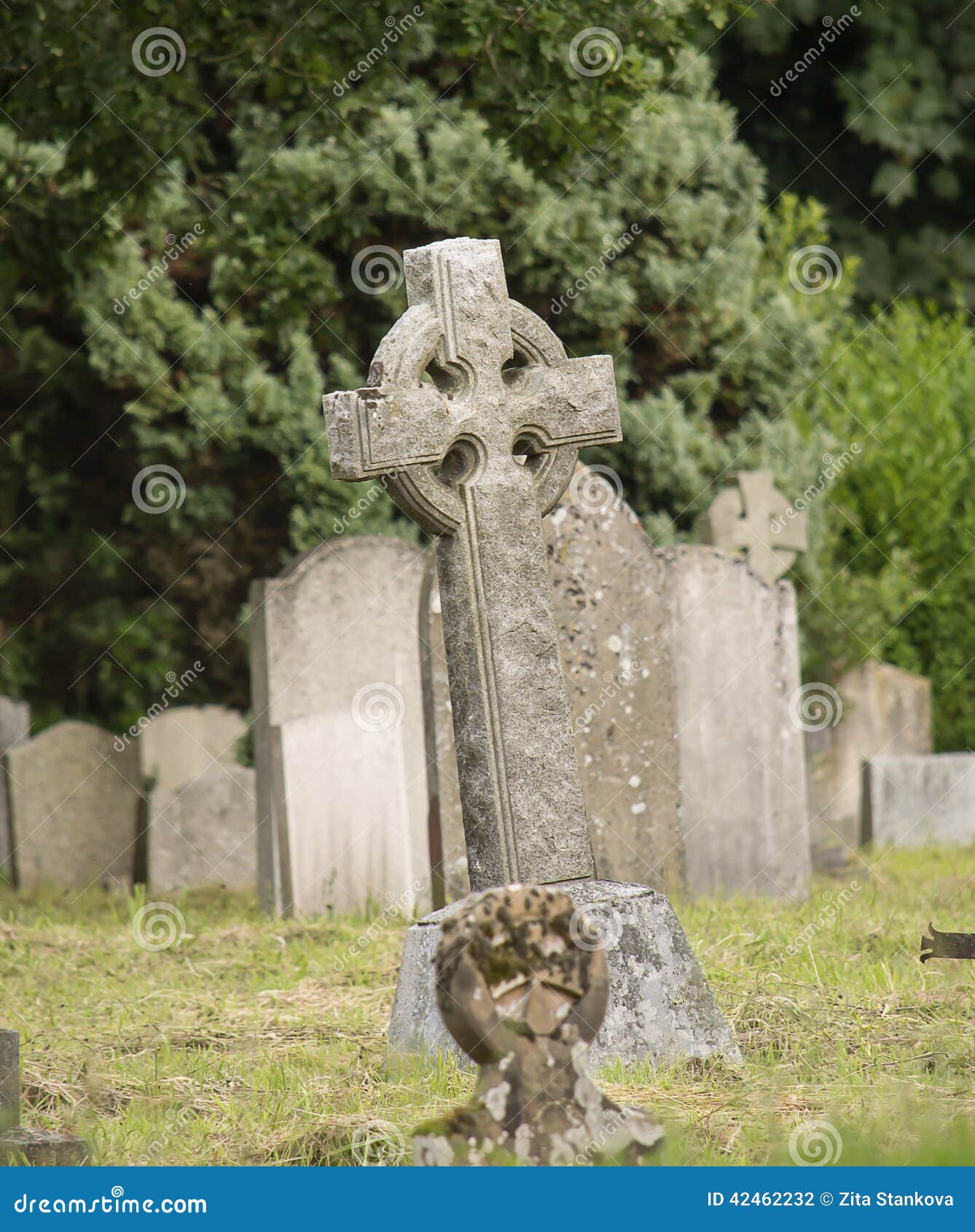 Creepy Cemetery Royalty-Free Stock Image | CartoonDealer.com #42462232