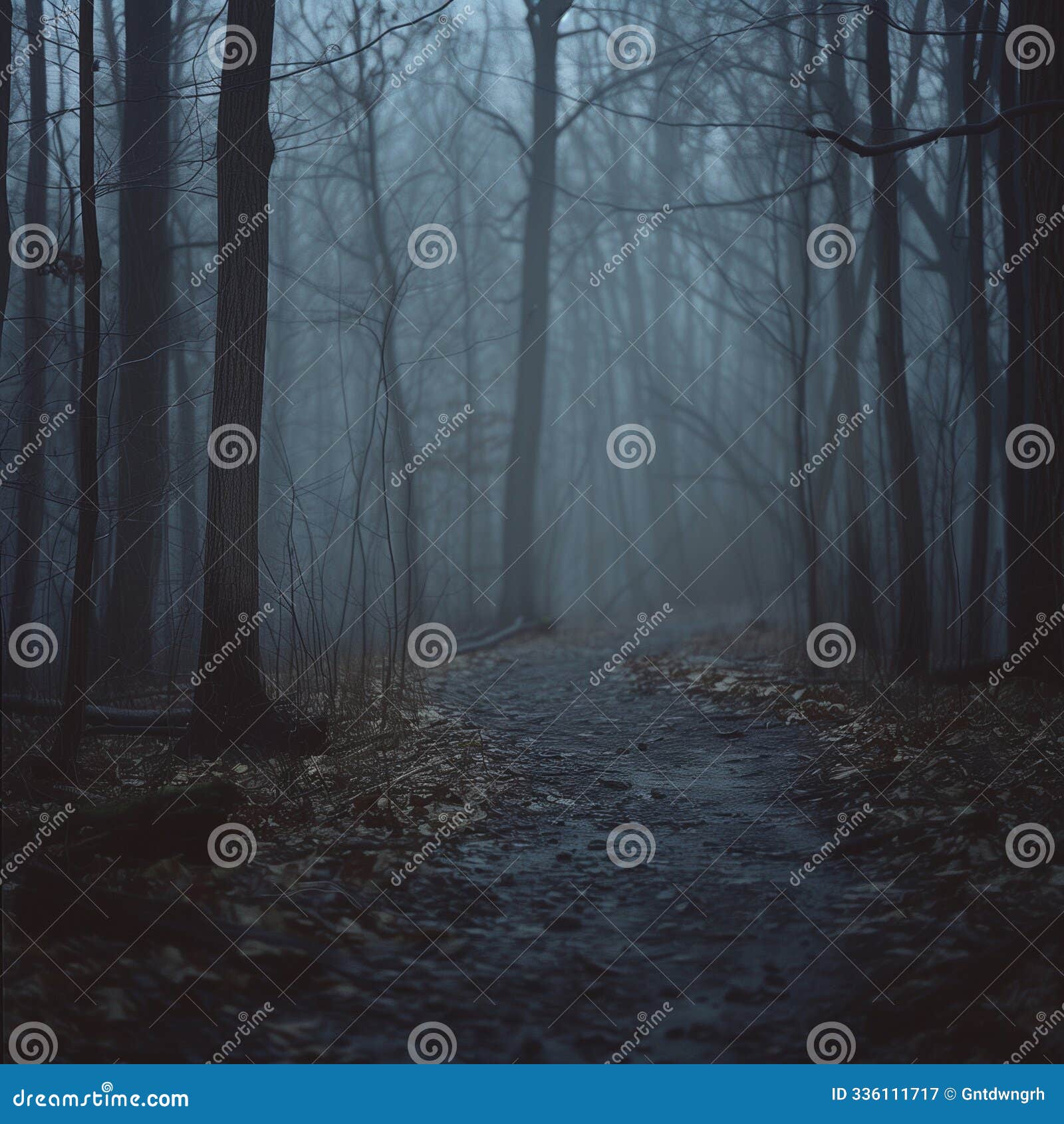 Creepy Dark Forest, Scary Pathway. Lonely Path Stock Illustration ...