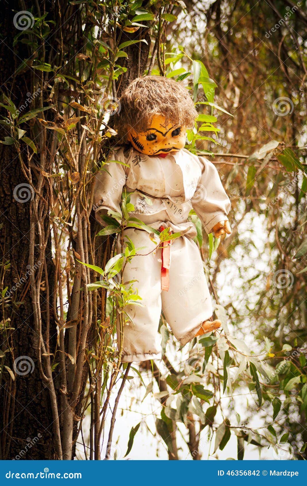 Creepy Doll Hanging of a Tree at Xochimilco, Mexico Stock Photo - Image ...