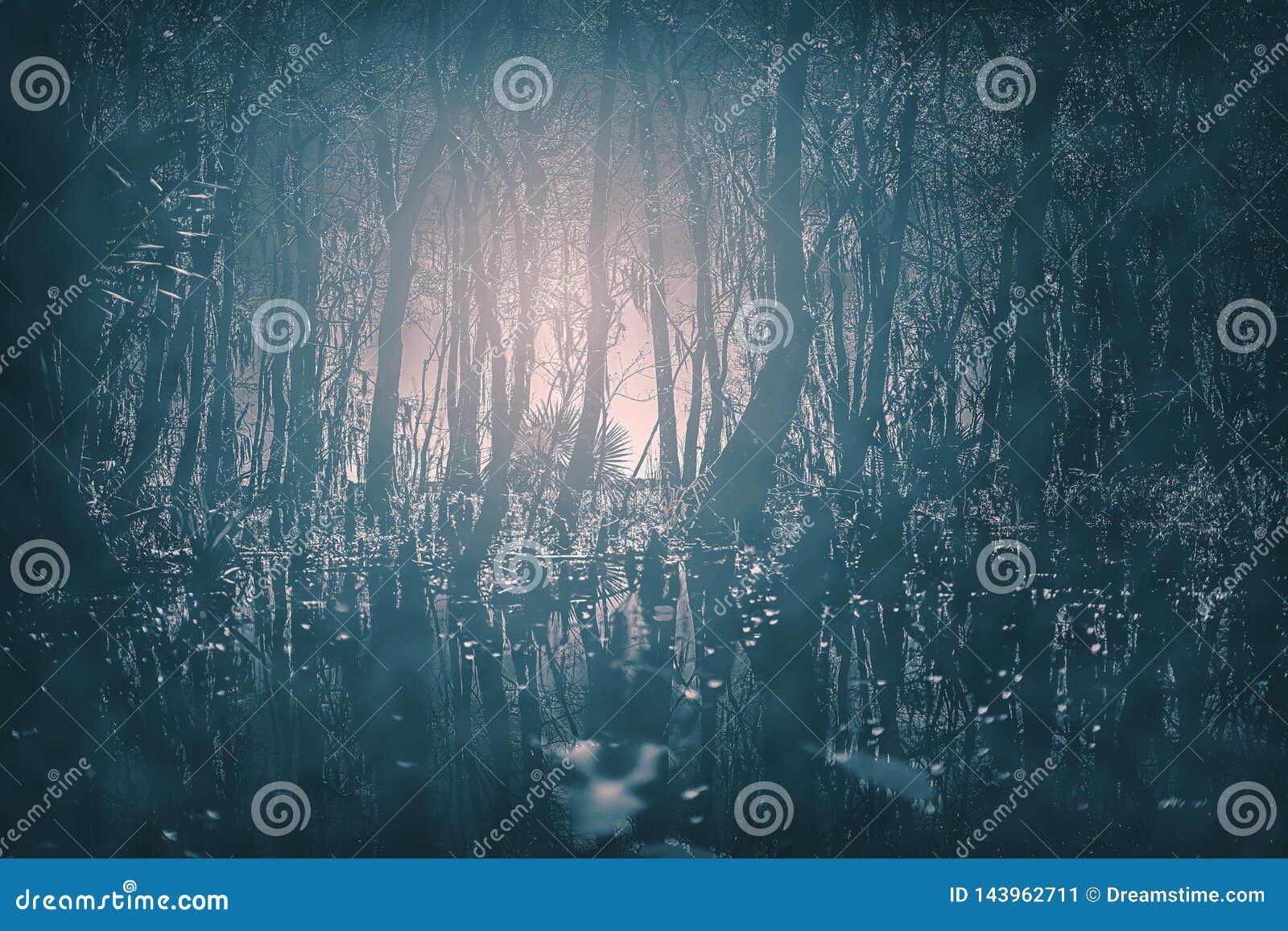 A Creepy Gothic Moonlit Foggy Woods At Night. Great For Horror, Gothic ...