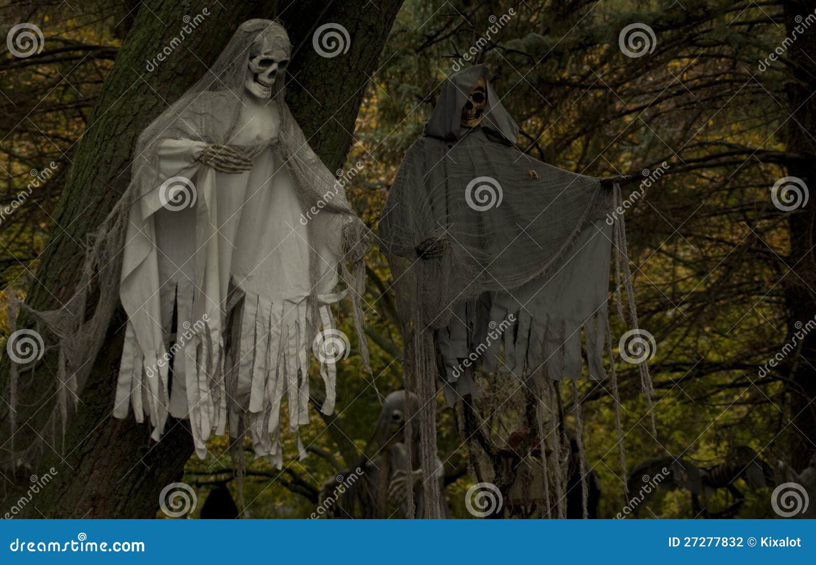 851 Creepy Ghosts Trees Stock Photos - Free & Royalty-Free Stock Photos ...