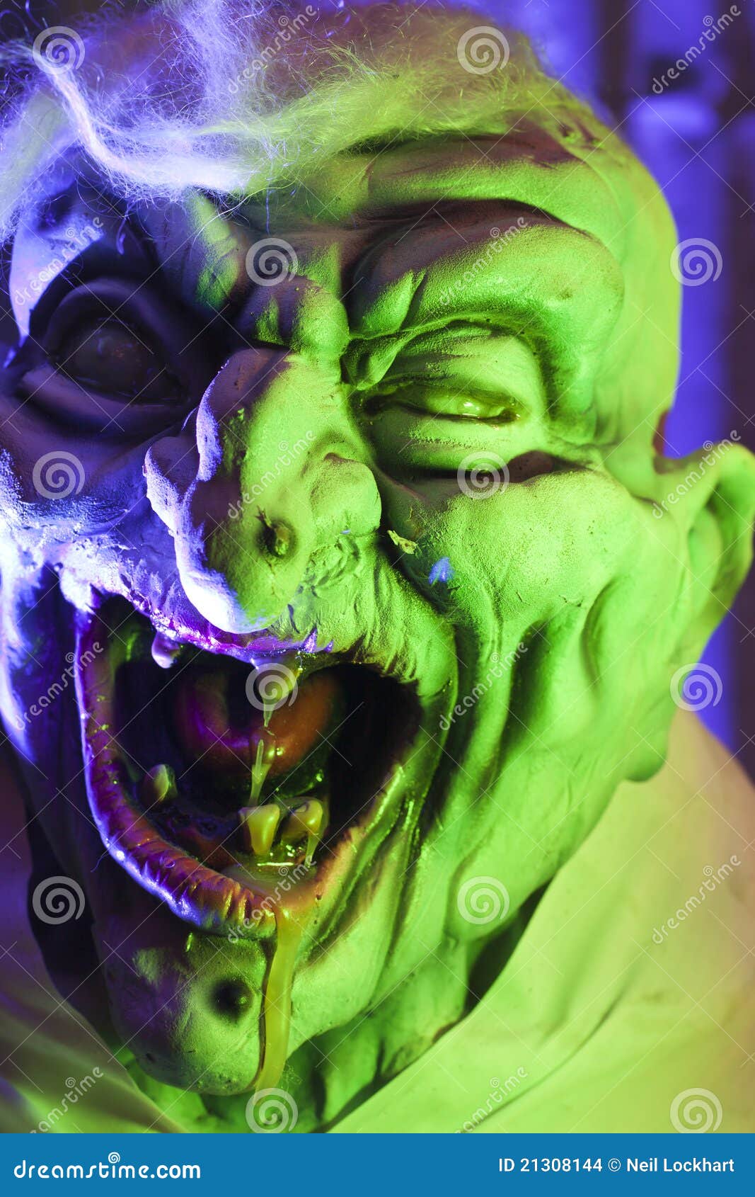 Creepy Green Spider In A Spiderweb Stock Photography | CartoonDealer ...