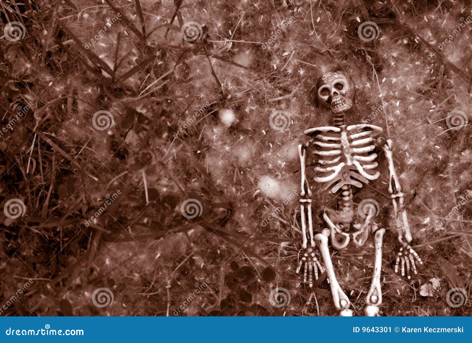 Creepy halloween skeleton stock image. Image of creativity - 9643301