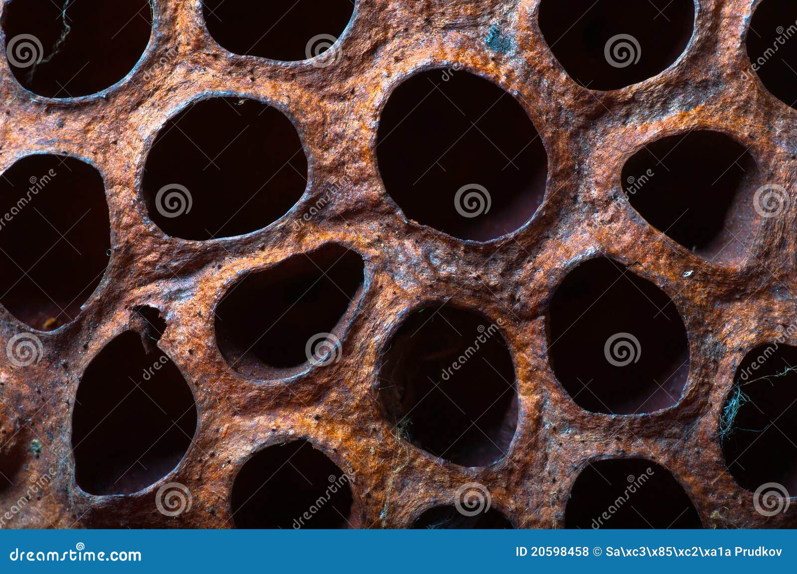 Scary Colorful Black Holes