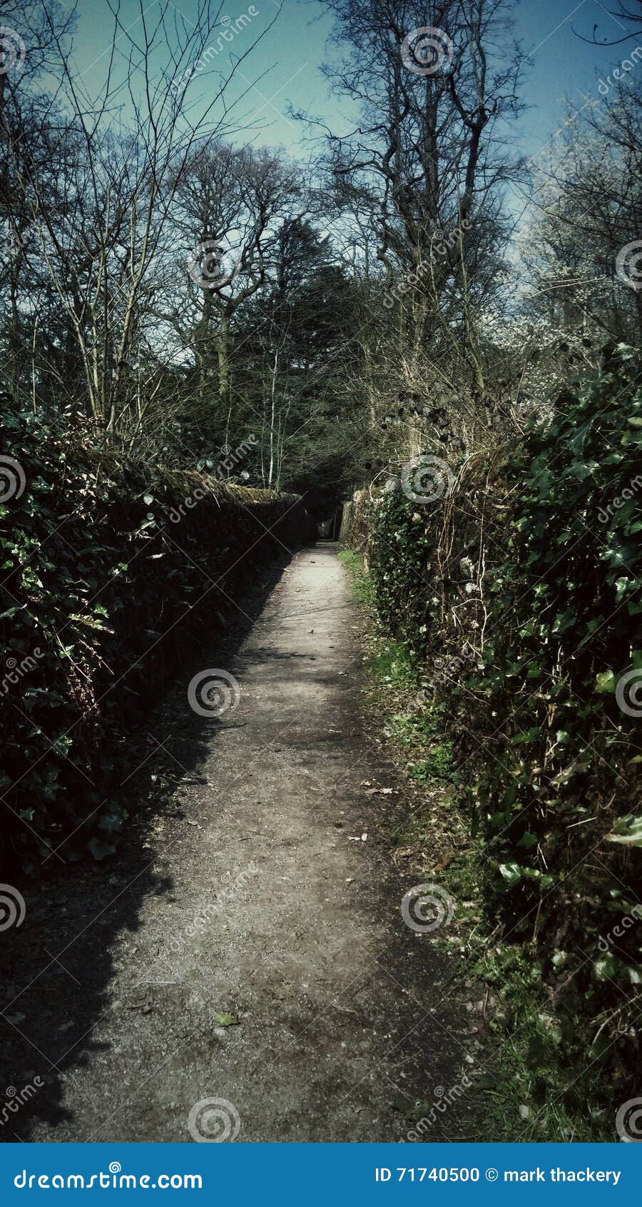 Creepy stock photo. Image of scary, long, creepy, path - 71740500