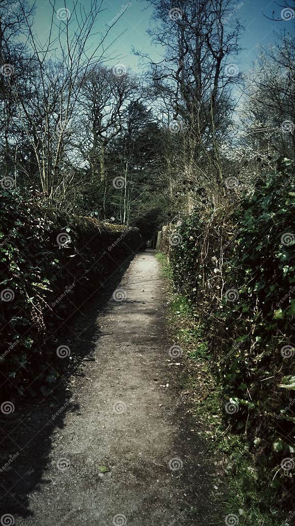 Creepy stock photo. Image of scary, long, creepy, path - 71740500