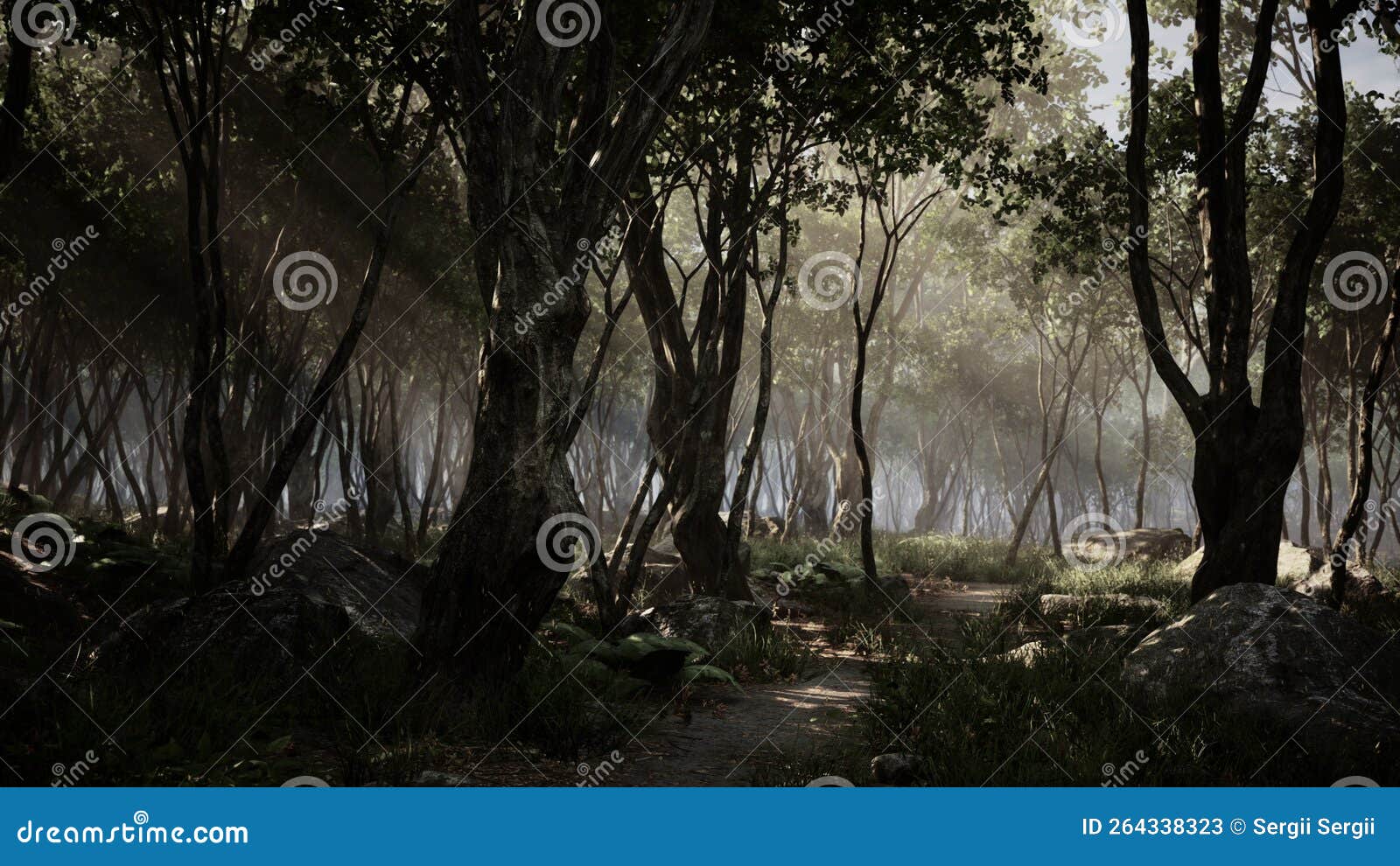 Creepy Mystic Magic Deep Forest Stock Image - Image of darkness, green ...
